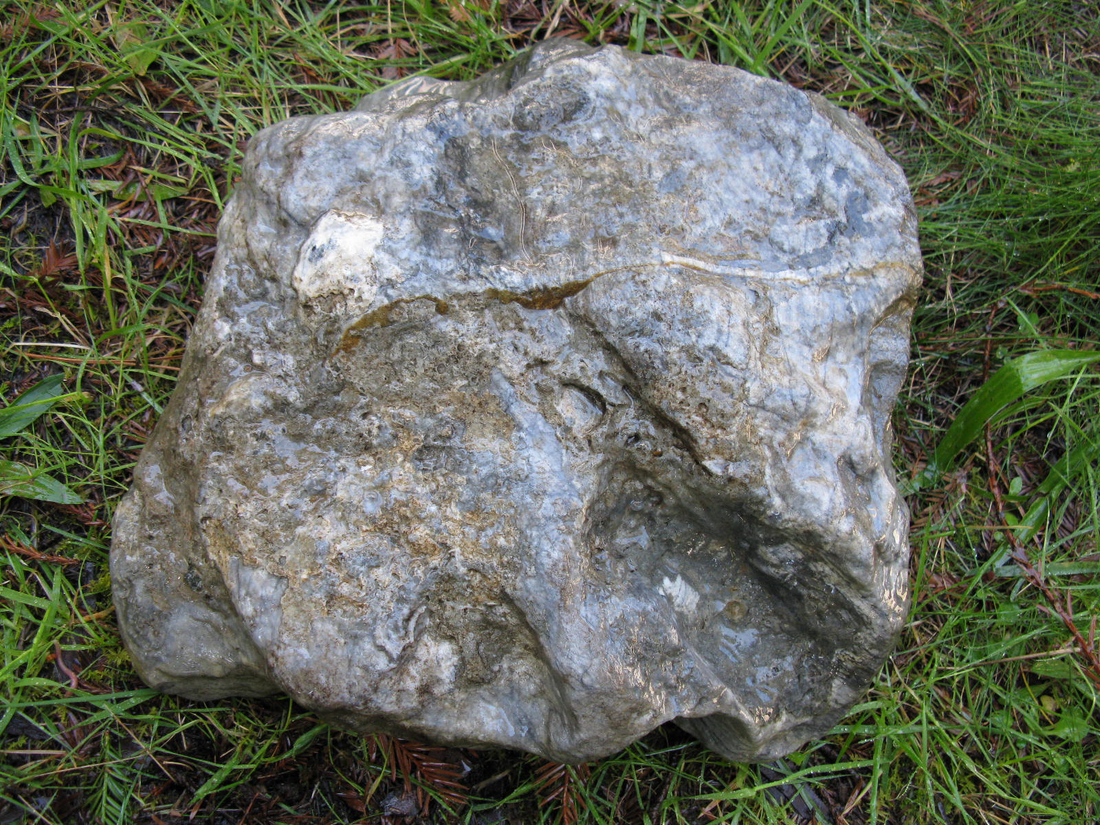 Suiseki .com - Celtic Section - Stones for sale, Lapidary - The Art of ...