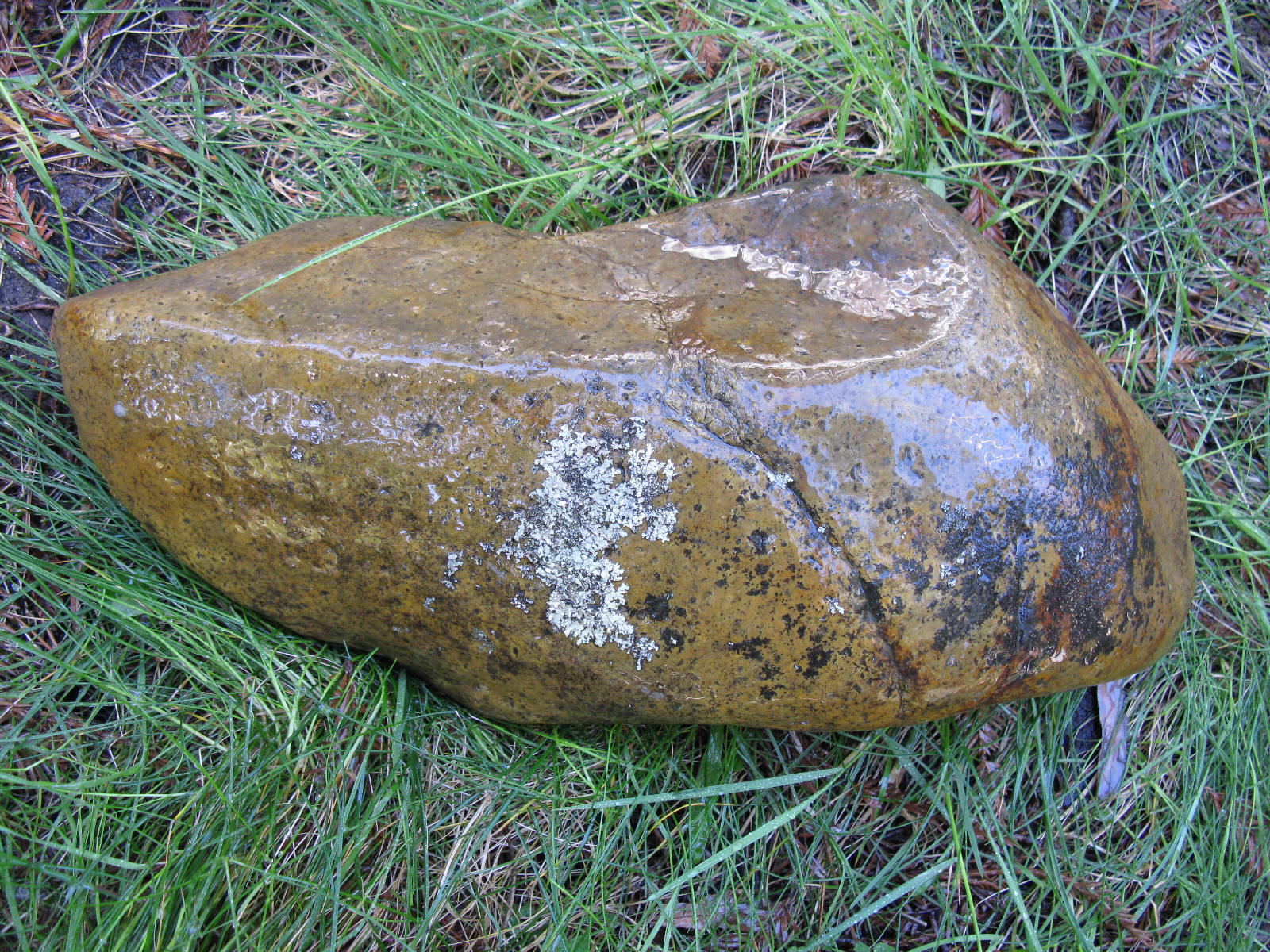 Suiseki .com - Celtic Section - Stones for sale, Lapidary - The Art of ...