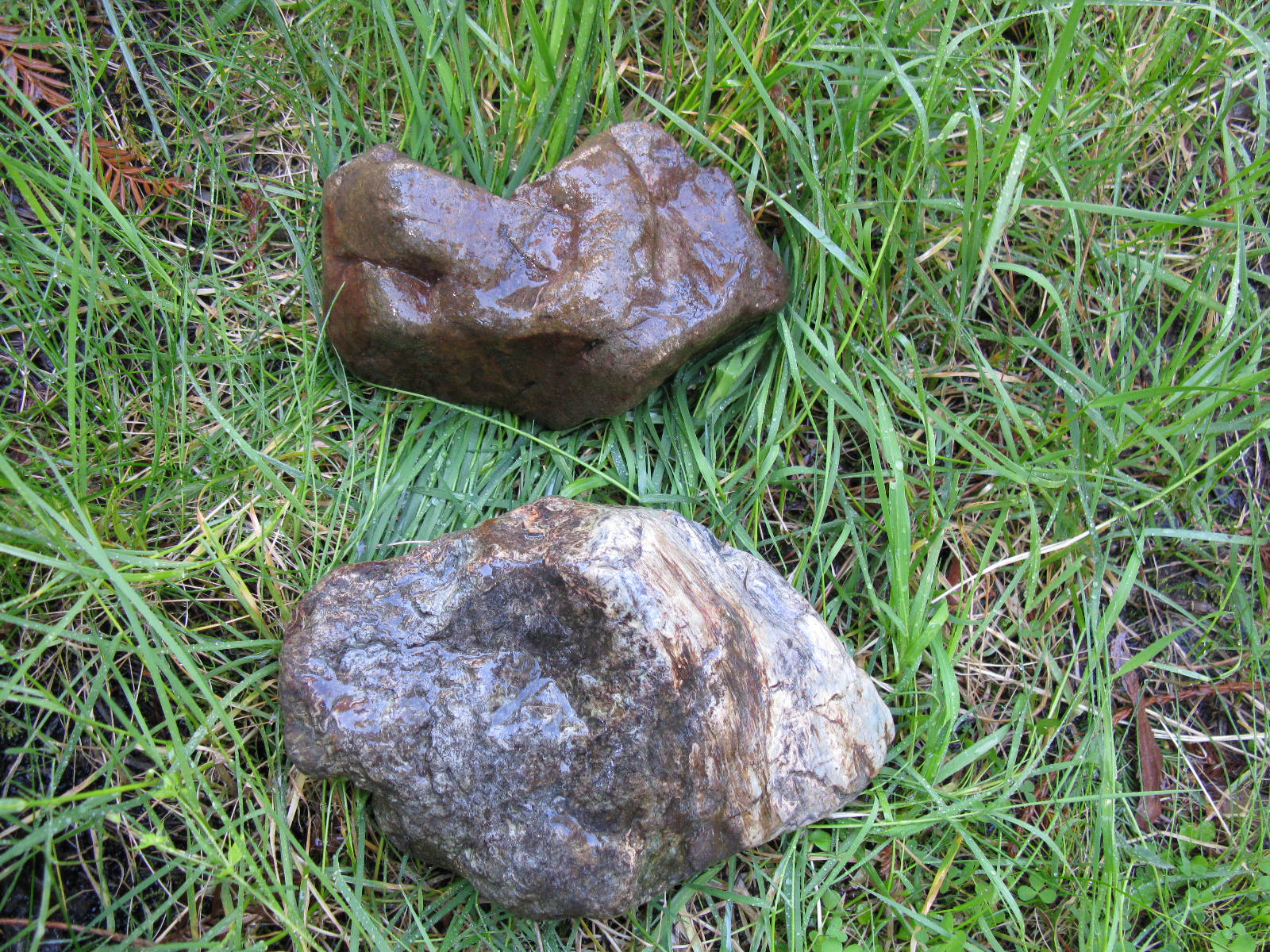 Suiseki .com - Celtic Section - Stones for sale, Lapidary - The Art of ...