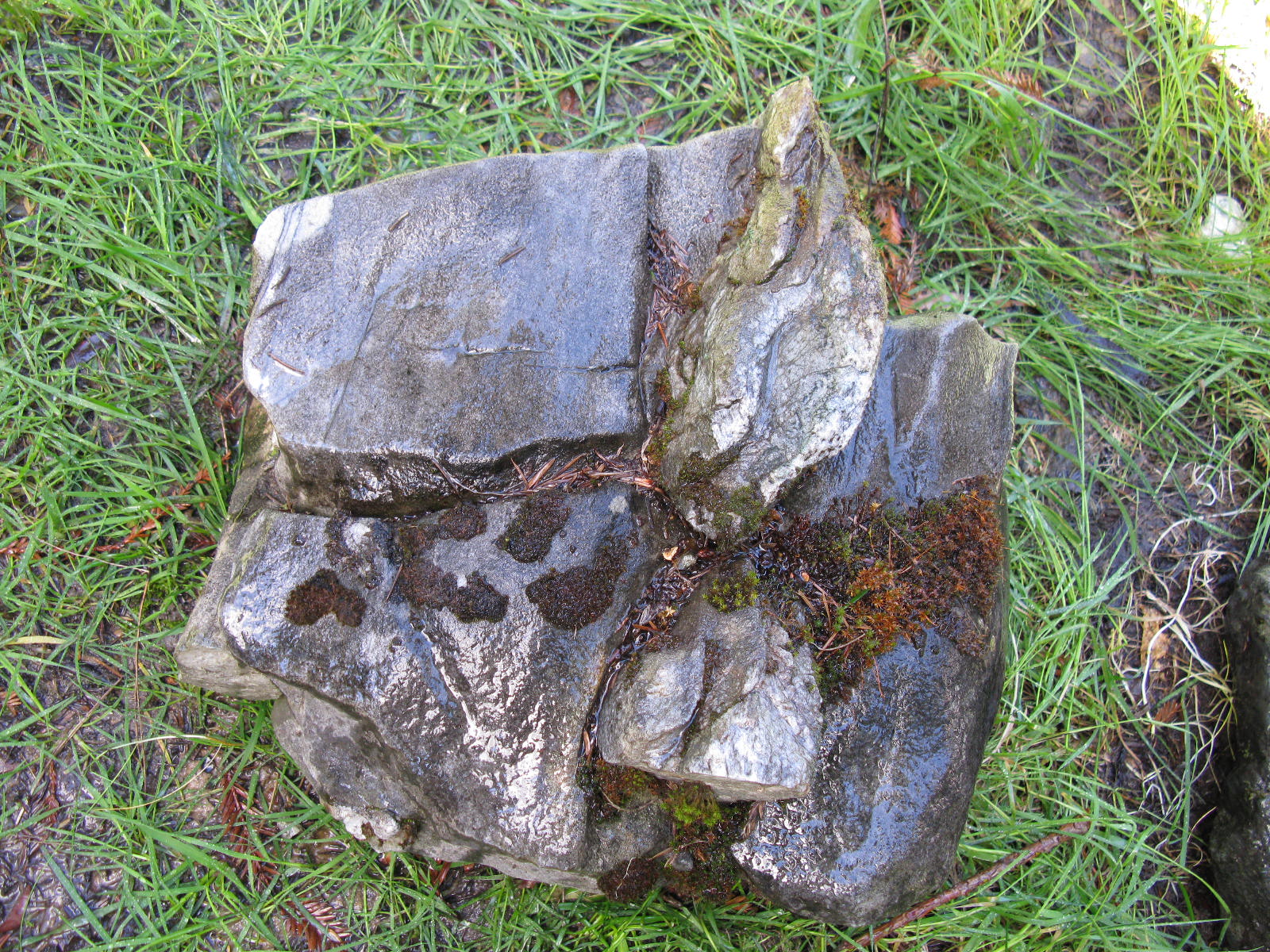 Suiseki .com - Celtic Section - Stones for sale, Lapidary - The Art of ...