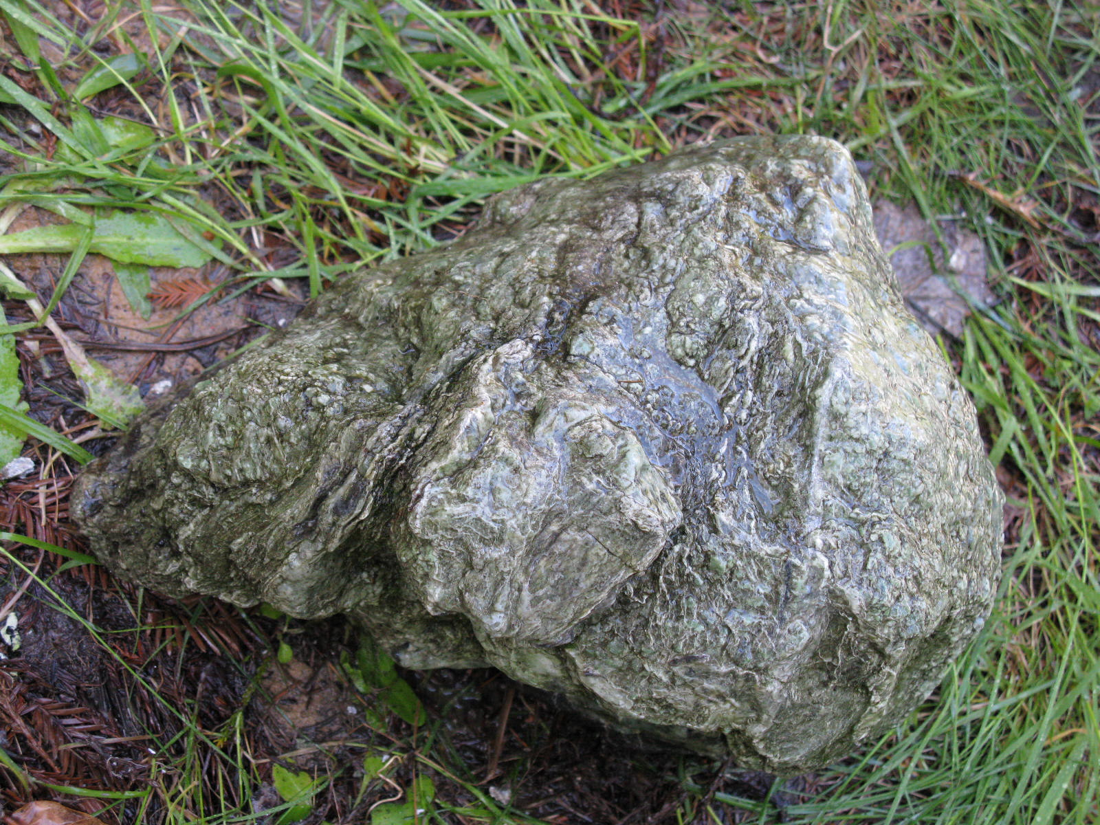 Suiseki .com - Celtic Section - Stones for sale, Lapidary - The Art of ...